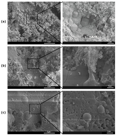 Plasma-Sprayed Hydroxyapatite Coatings and Their Biological Properties