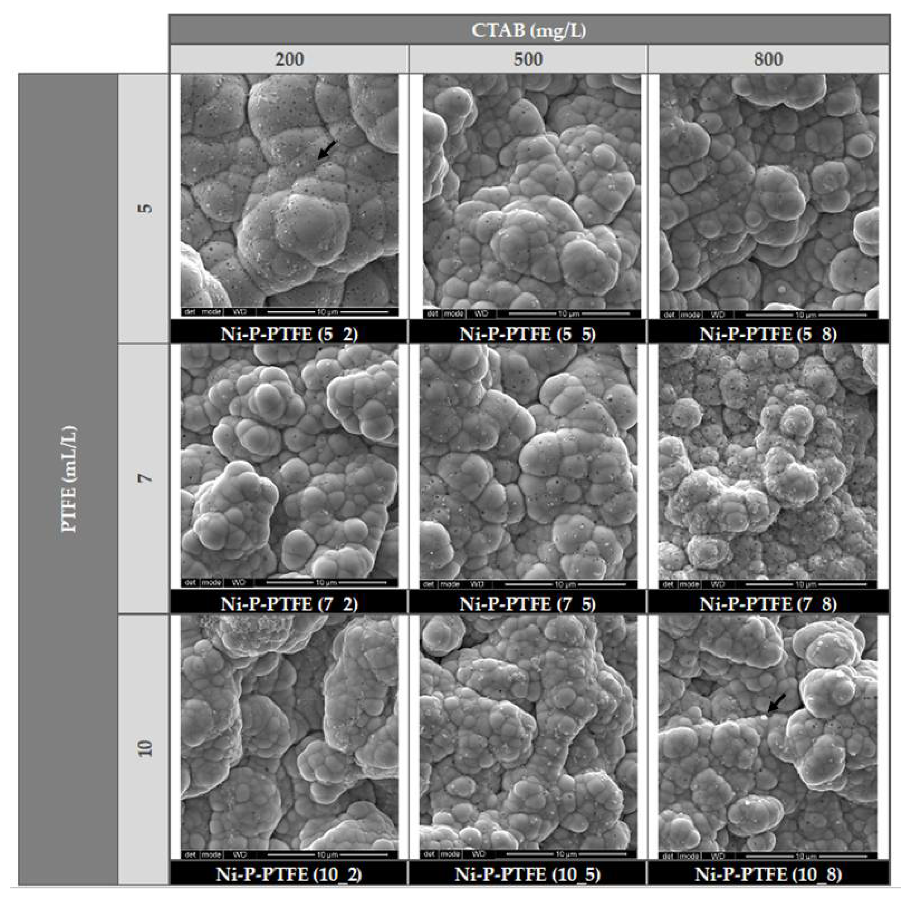 Coatings | Free Full-Text | Characterization and Tribological Behavior ...