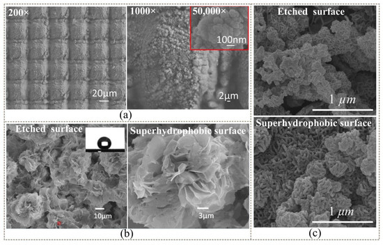 Recent Advances in Superhydrophobic and Antibacterial Coatings for Biomedical Materials
