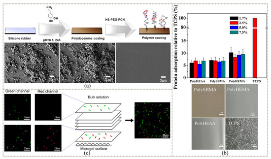 Recent Advances in Superhydrophobic and Antibacterial Coatings for ...