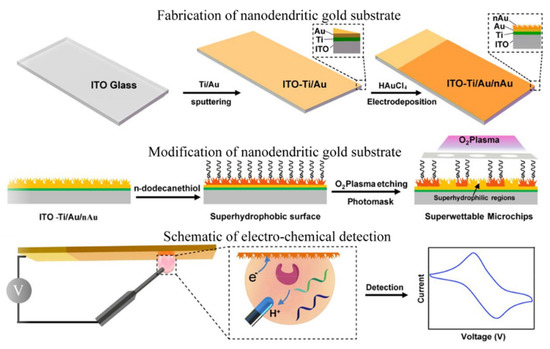 Recent Advances in Superhydrophobic and Antibacterial Coatings for ...
