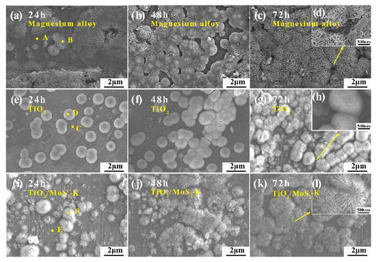 Microstructure and Corrosion Resistance of Two-Dimensional TiO2/MoS2 ...