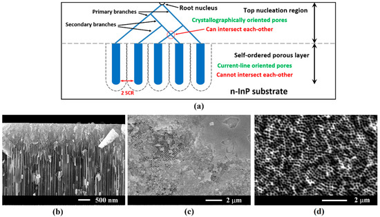 Controlled Electroplating of Noble Metals on III-V Semiconductor ...