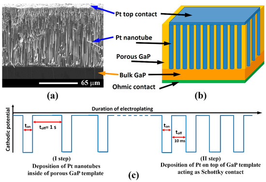 Controlled Electroplating of Noble Metals on III-V Semiconductor ...