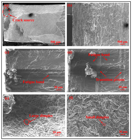 Relationship between Stress State and Microstructure of 7B04 Aluminum Alloy Surface Fatigue ...