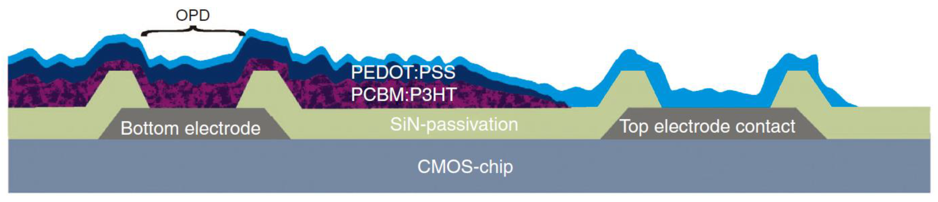CMOS-Compatible Optoelectronic Imagers