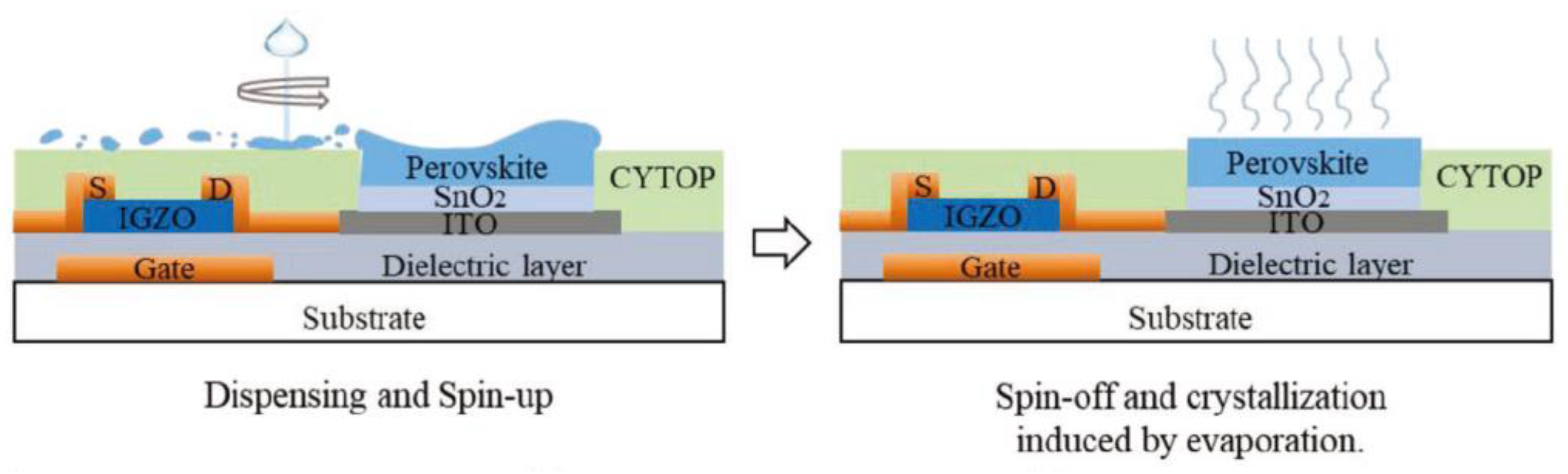 CMOS-Compatible Optoelectronic Imagers
