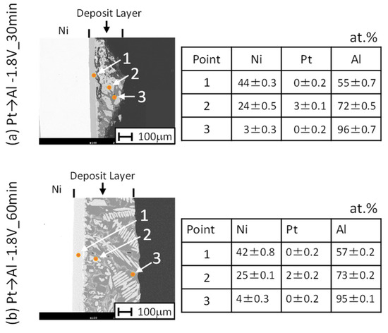 Effect of Pt Addition on the Formation of Ni–Pt Porous Layer