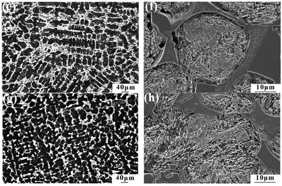 Investigation of the Microstructures and Properties of B-Bearing High ...