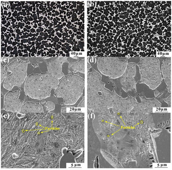 Investigation of the Microstructures and Properties of B-Bearing High ...