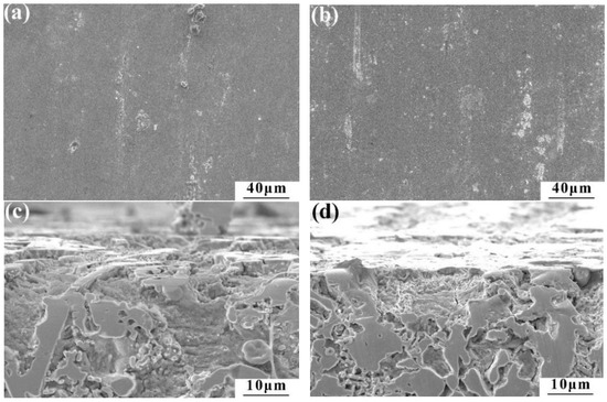 Investigation of the Microstructures and Properties of B-Bearing High ...