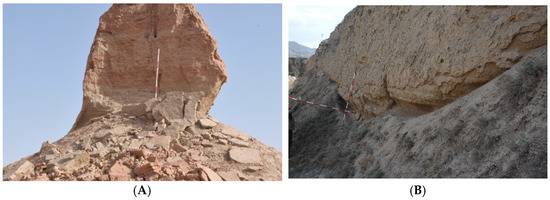 Key Issues and Research Progress on the Deterioration Processes and ...