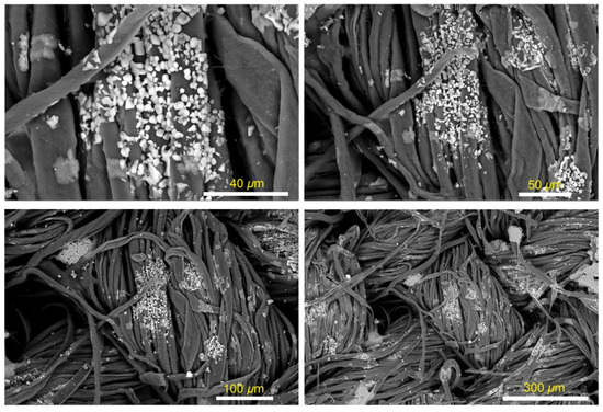 Coatings | Free Full-Text | Ultraviolet-Sensitive Photoluminescent Spray-Coated Textile