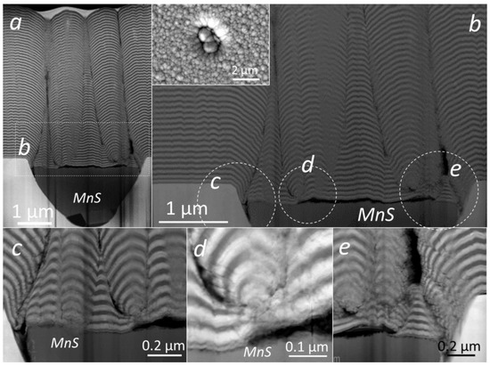 Microstructure and Surface Topography Study of Nanolayered TiAlN/CrN ...