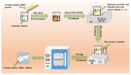 Nanocellulose and Cellulose Making with Bio-Enzymes from Different ...