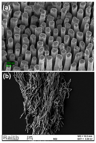 Synthesis and Characterization of Gold-Shell Magnetic Nanowires for ...