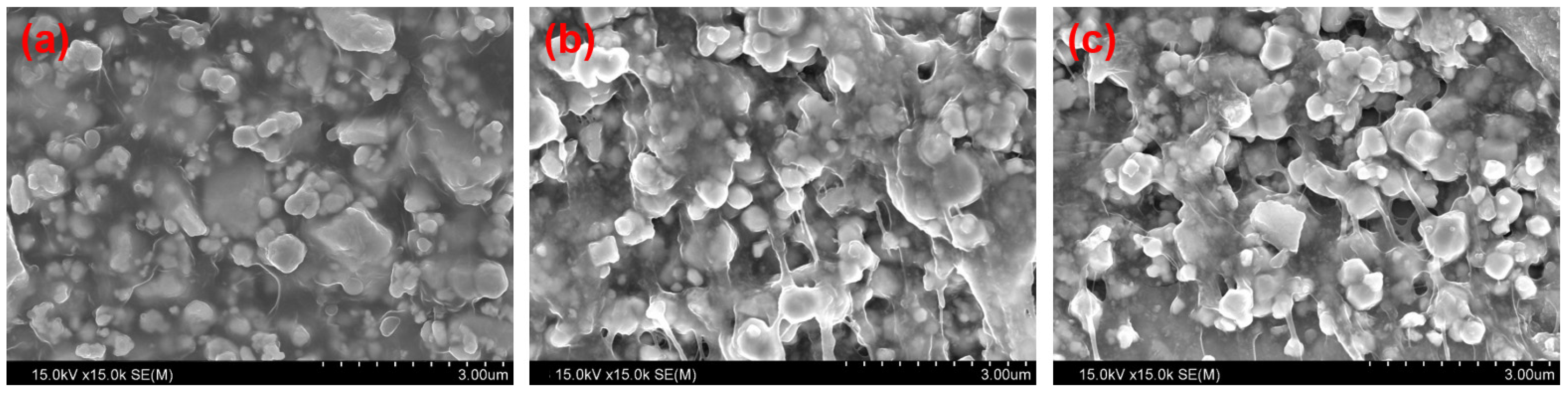 Effect of Polymer Shell Structure of a Gamma-ray Shielding Film ...