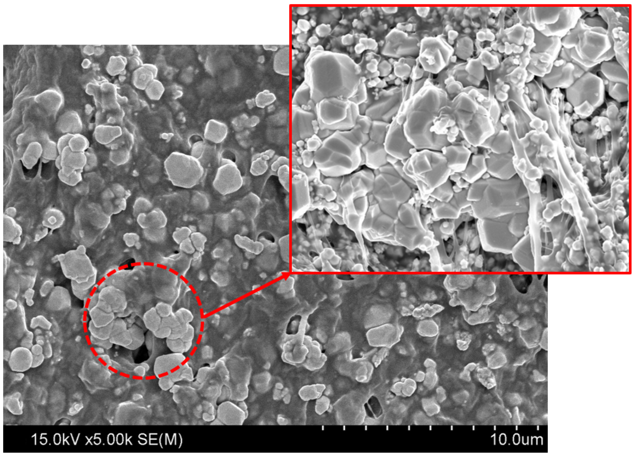 Effect of Polymer Shell Structure of a Gamma-ray Shielding Film ...