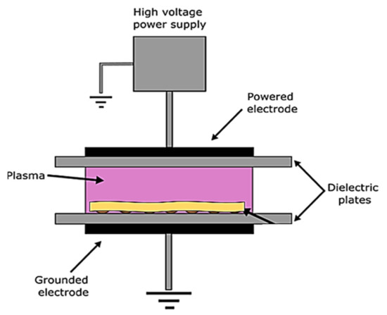 Cold Plasma Technology in Food Packaging