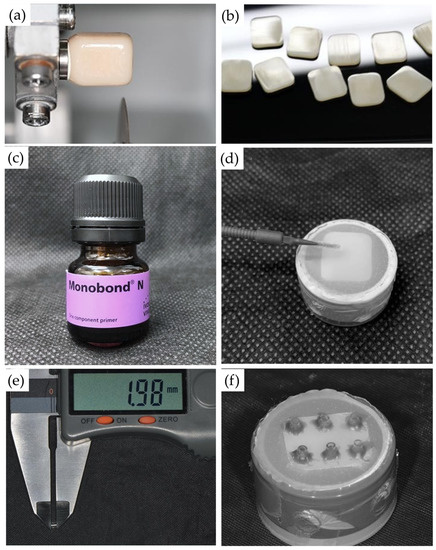 Coatings | Free Full-Text | Influence of Optional Crystallization ...