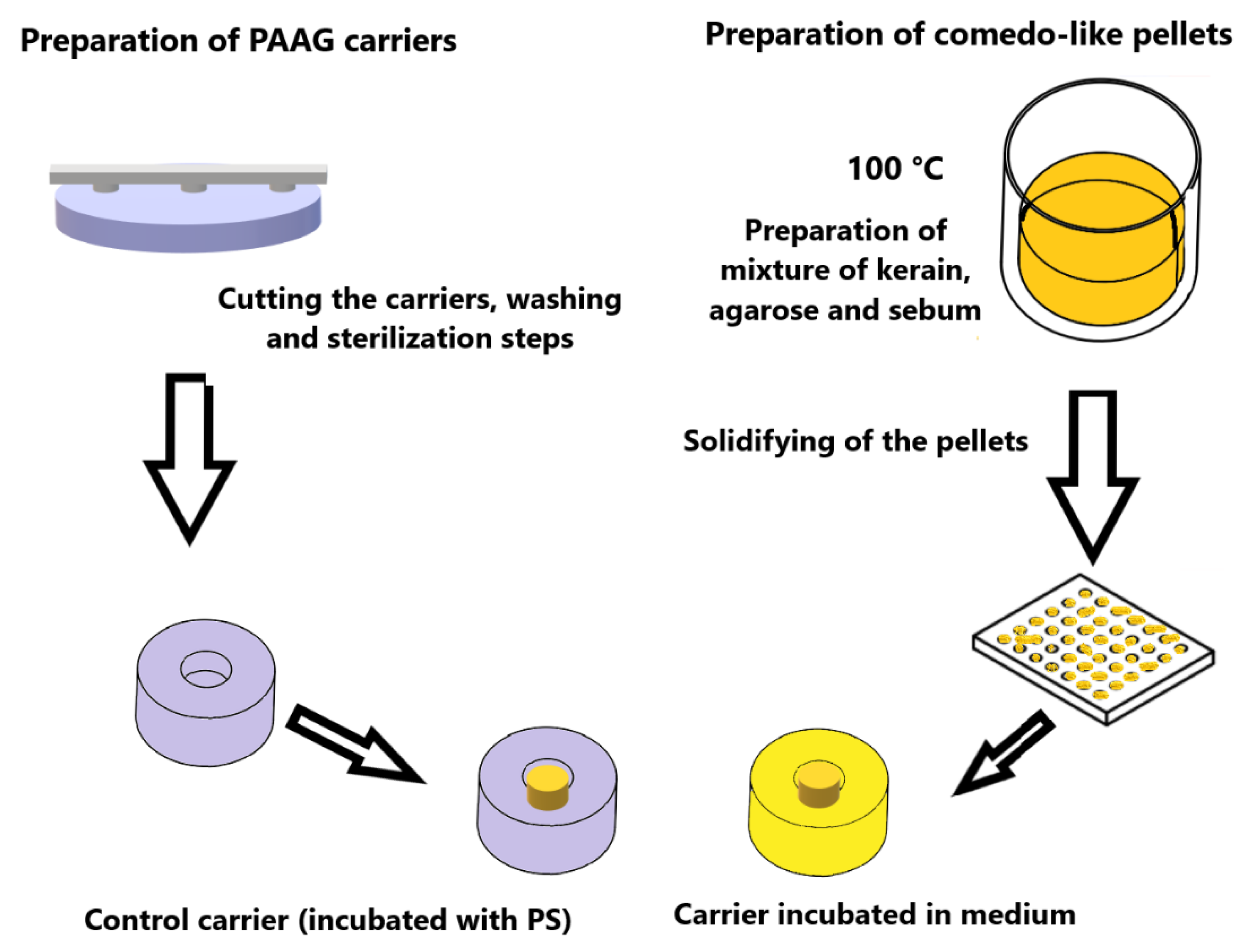 A Novel Simple In Vitro System Mimicking Natural Environment for the ...