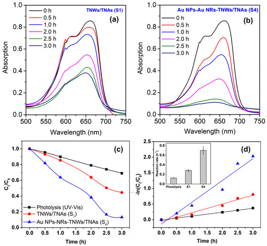 TiO2 Nanowires on TiO2 Nanotubes Arrays (TNWs/TNAs) Decorated with Au ...