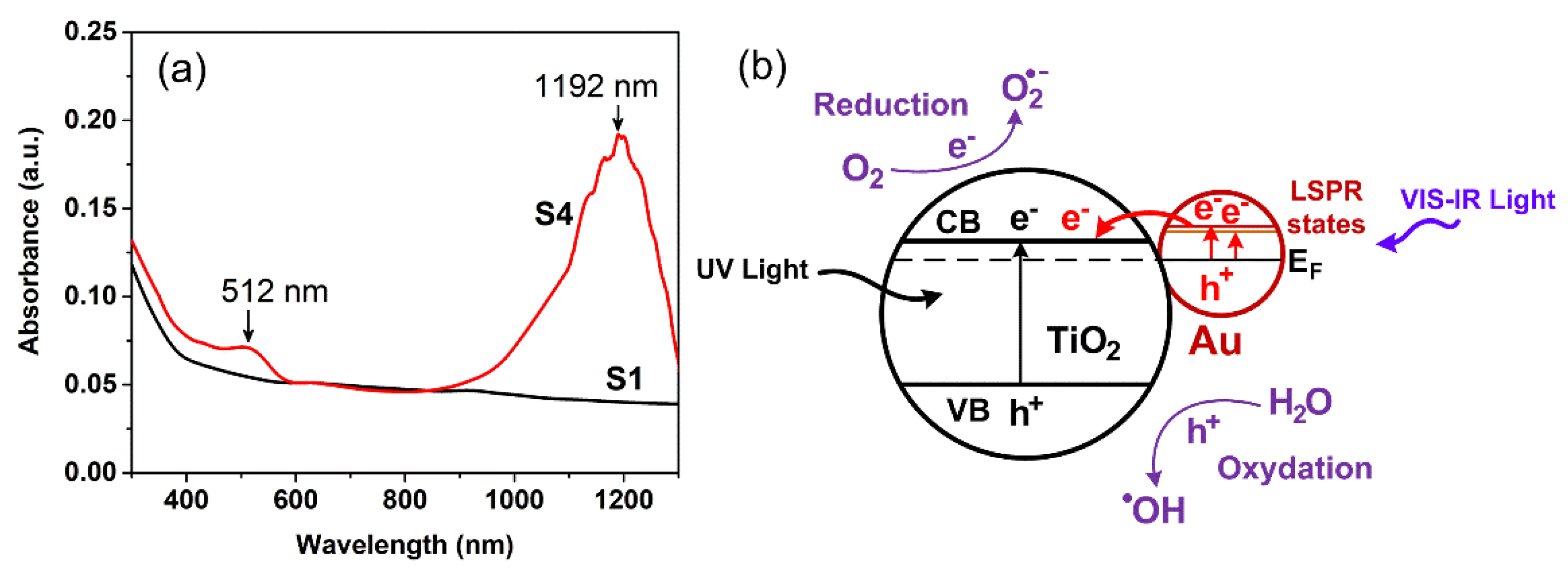 TiO2 Nanowires on TiO2 Nanotubes Arrays (TNWs/TNAs) Decorated with Au ...