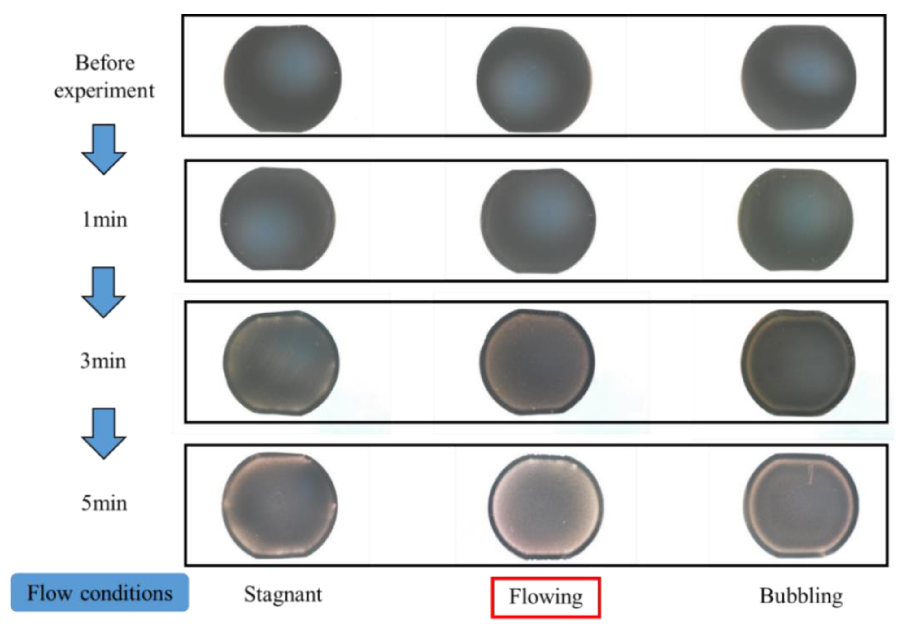 Study on Using Microbubbles to Reduce Surface Damage of Mercury Target ...