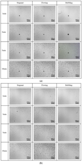Study on Using Microbubbles to Reduce Surface Damage of Mercury Target ...