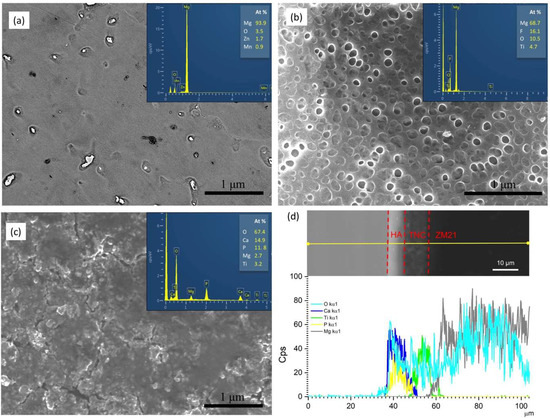 Evaluating the Electrochemical and In Vitro Degradation of an HA ...