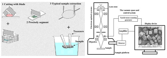 Evolution of Elements on Electrode Surfaces in Gas-Insulated Systems ...