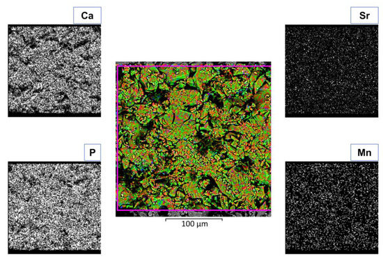 Double Substituted with Manganese and Strontium Tricalcium Phosphate ...