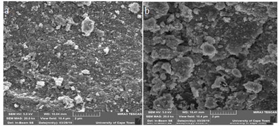 Structural Features of Cellulose and Cellulose Nanocrystals via In Situ ...