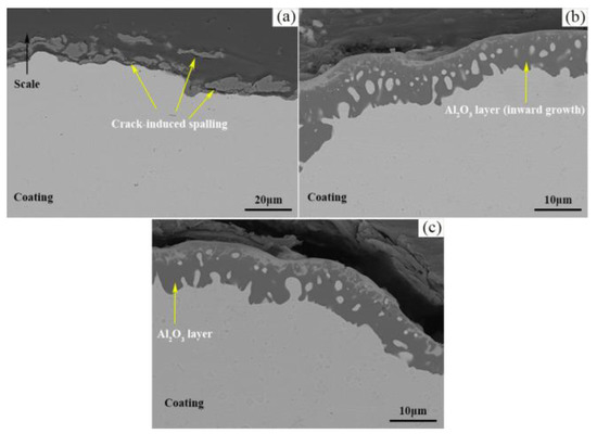 Study on Microstructure and Oxidation Resistance Mechanism of Y ...