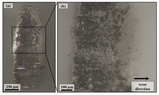 Surface and Tribological Properties of Powder Metallurgical Cp-Ti ...