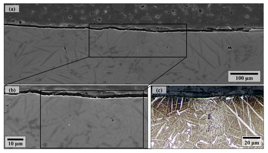 Surface and Tribological Properties of Powder Metallurgical Cp-Ti ...