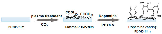 Improving Hydrophilicity and Adhesion of PDMS through Dopamine Modification Assisted by Carbon ...