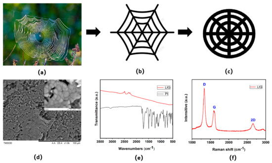 Wearable LIG Flexible Stress Sensor Based on Spider Web Bionic Structure