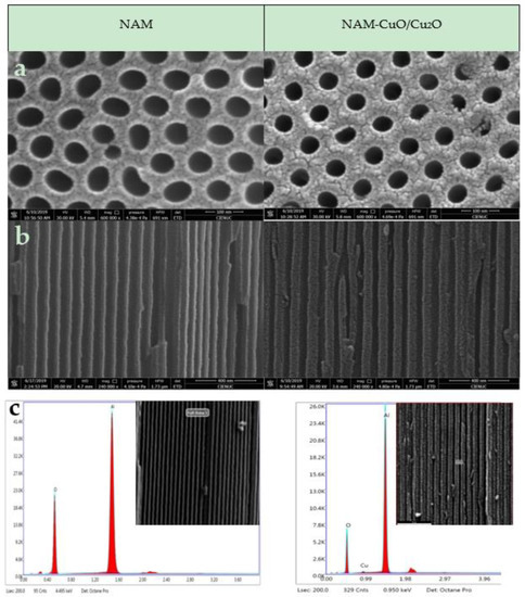 In Situ Synthesis of CuO/Cu2O Nanoparticle-Coating Nanoporous Alumina ...