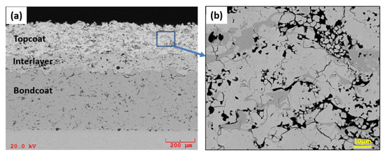 Novel Thermal Barrier Coatings with Phase Composite Structures for ...