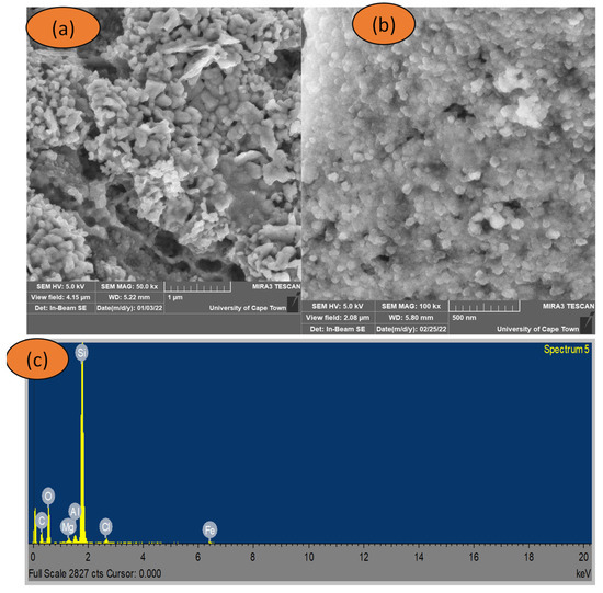 Nanostructured Silicon Derived from an Agricultural Residue Bagasse Ash ...