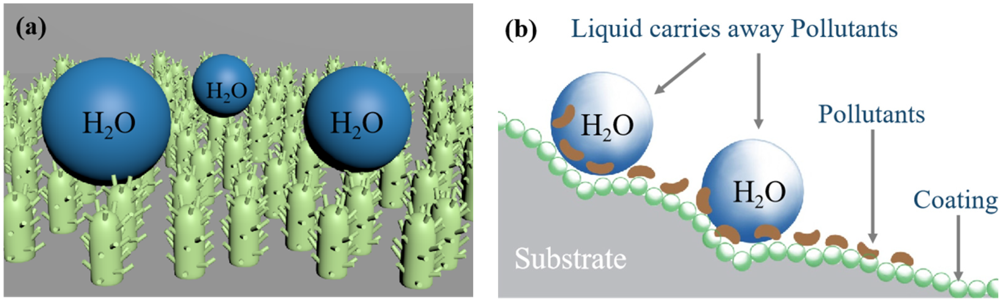 Coatings | Free Full-Text | Preparation and Characterization of Biomimetic SiO2-TiO2-PDMS ...