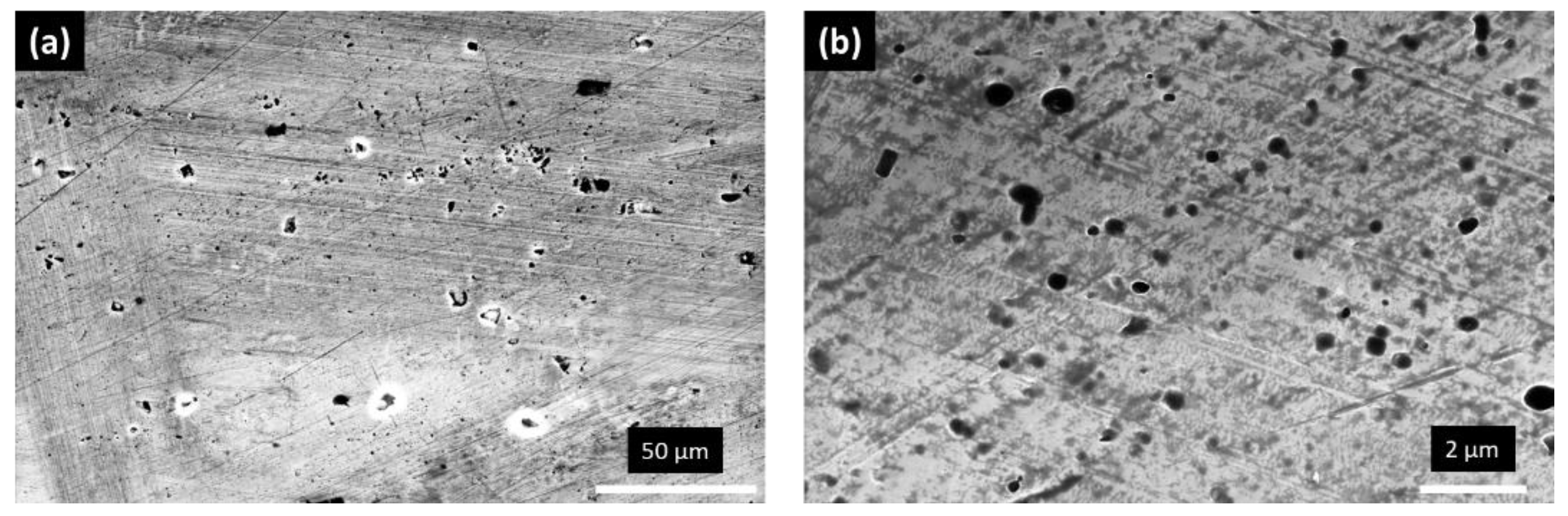 Improved Corrosion Resistance Behaviour of AlSi10Mg Alloy due to ...