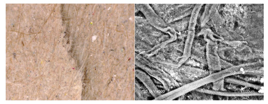 Characterisation of the Surface Free Energy of the Recycled Cellulose ...