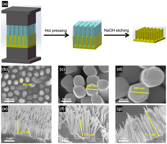 Room Temperature Synthesis of Branched ZnO Nanowires Array with Tunable ...