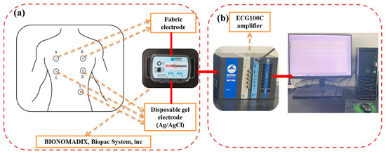 Fabric Electrode Monitoring of Dynamic and Static ECG Signal and ...