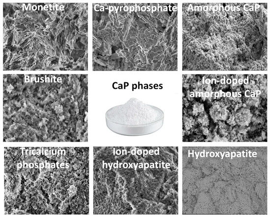 Calcium Phosphate Loaded Biopolymer Composites—A Comprehensive Review ...