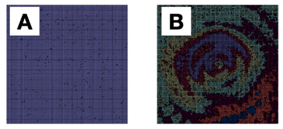 Biostable Fluorine-Containing Coatings on the Surface of Polymers