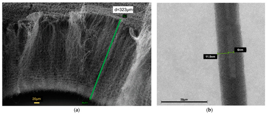 Effect of a New Multi-Walled CNT (MWCNT) Type on the Strength and ...