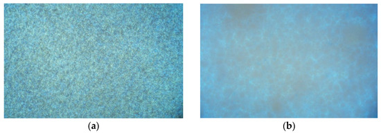 Study on Modification Mechanism and Performance of Waterborne Epoxy ...